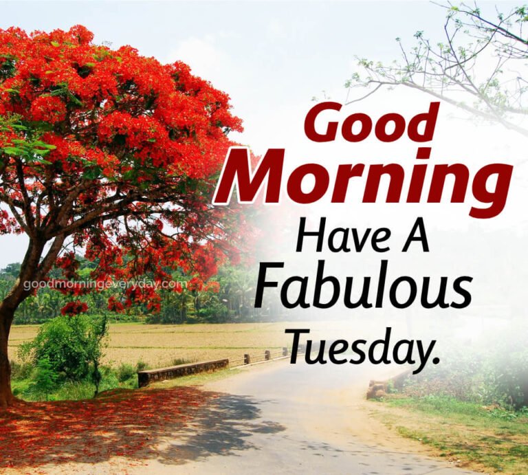 Best Good Morning Tuesday Images Collections | Download Now